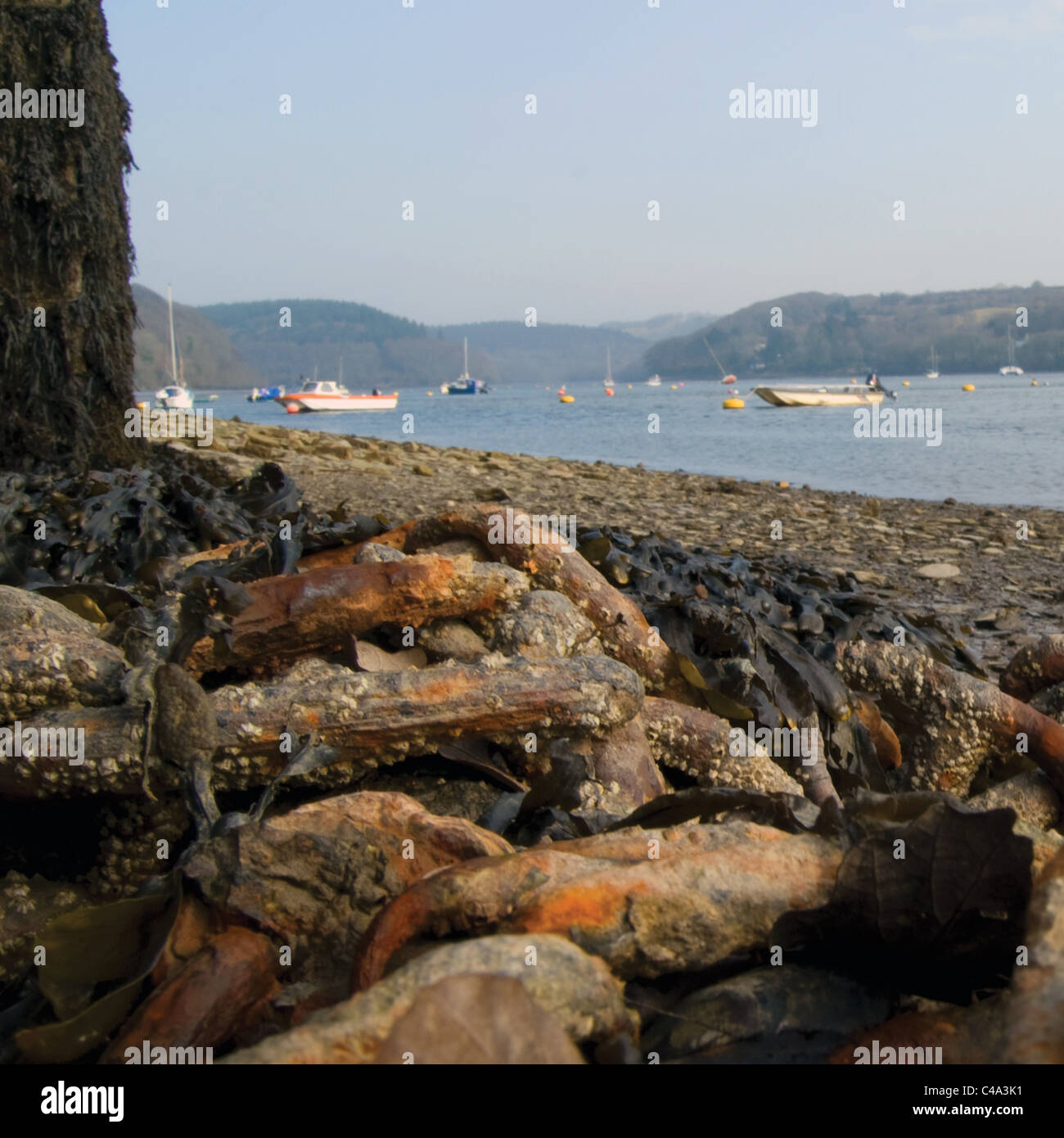 Golant River View Stock Photo - Alamy