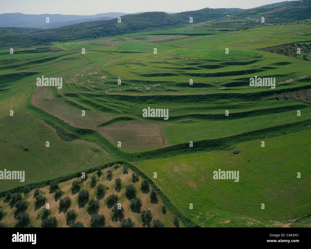 Aerial photograph of the agriculture fields of Samaria Stock Photo - Alamy