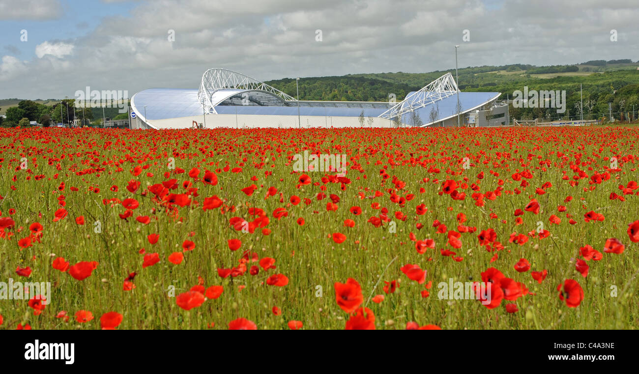 Brighton and Hove Albion's new American Express Community Stadium known ...