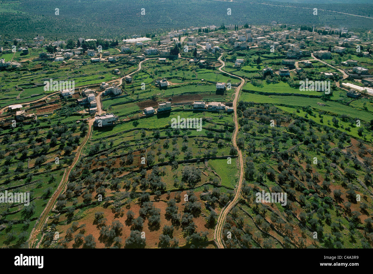 Aerial photograph of the agriculture fields of Samaria Stock Photo - Alamy