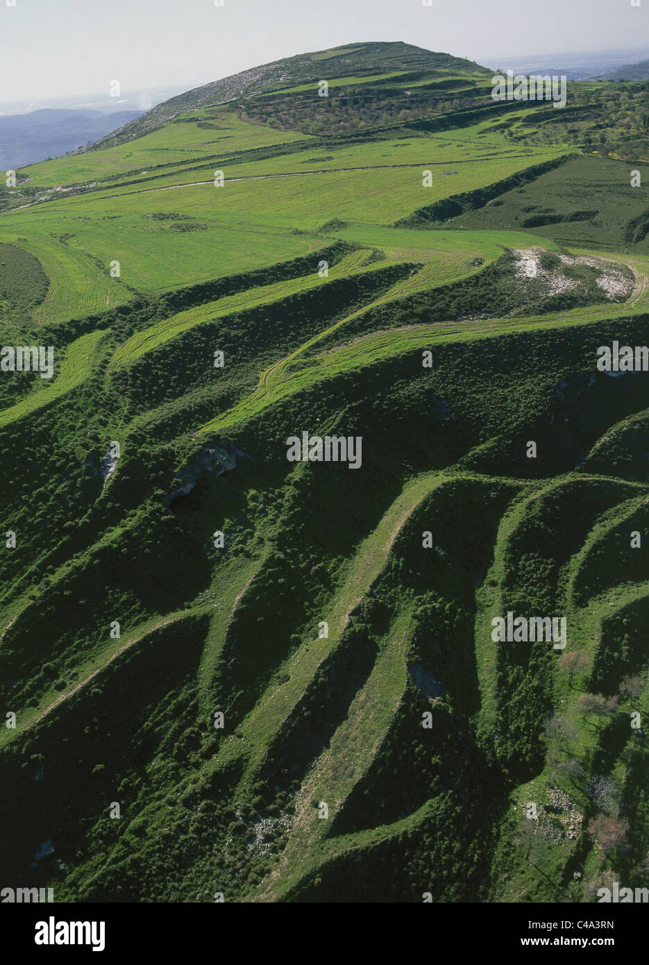 Aerial photograph of the agriculture fields of Samaria Stock Photo - Alamy