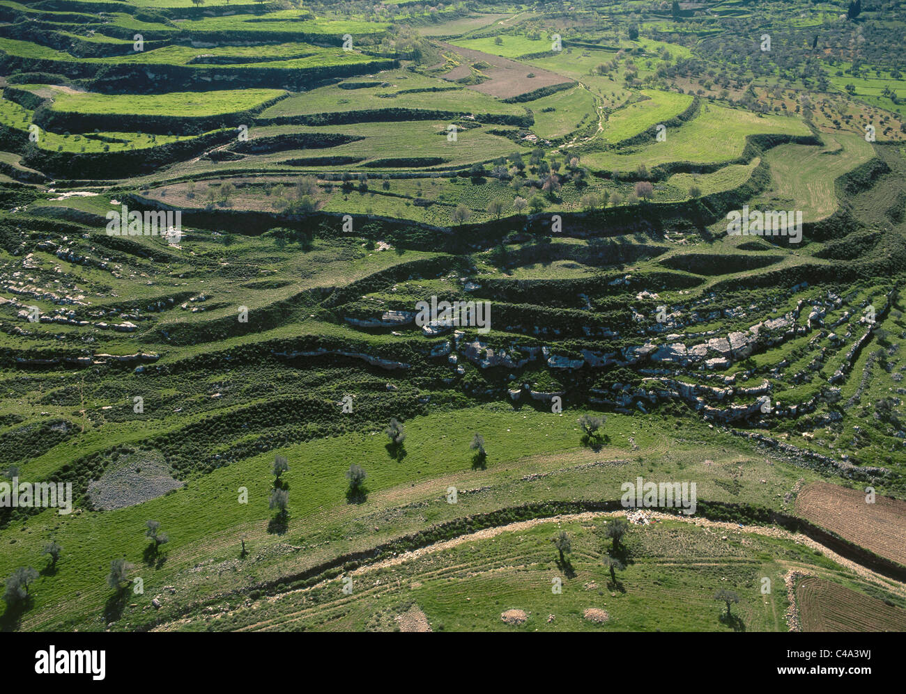 Aerial photograph of the agriculture fields of Samaria Stock Photo - Alamy