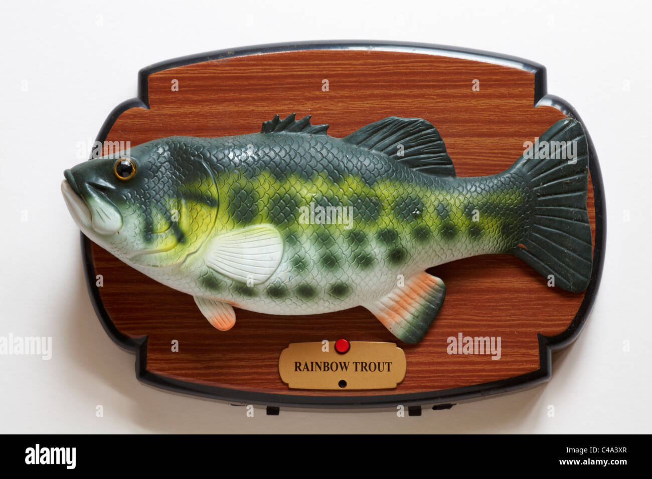 Novelty singing and dancing rainbow trout isolated on white background ...