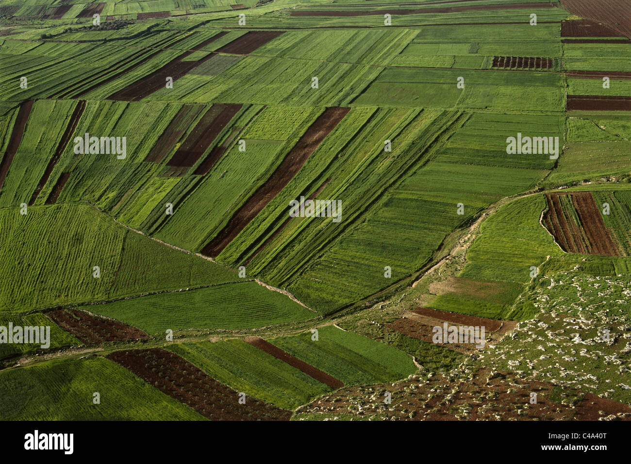 Aerial photograph of the Agriculture fields of Samaria Stock Photo - Alamy