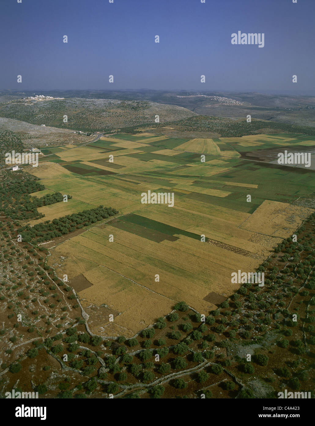 Aerial photograph of the Agriculture fields of Samaria Stock Photo - Alamy