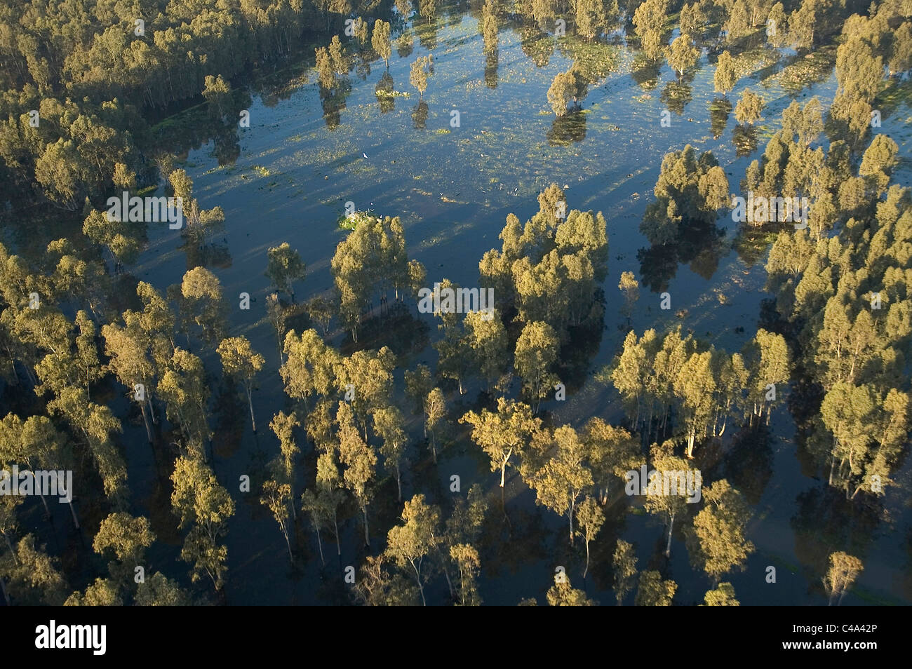 Sharon coastal plain hi-res stock photography and images - Alamy