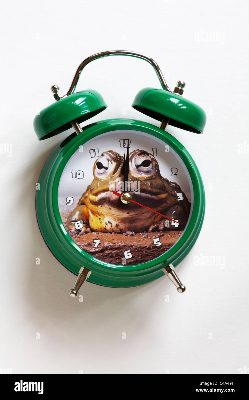 Frog alarm clock isolated on white background - Wacky wakers alarm ...