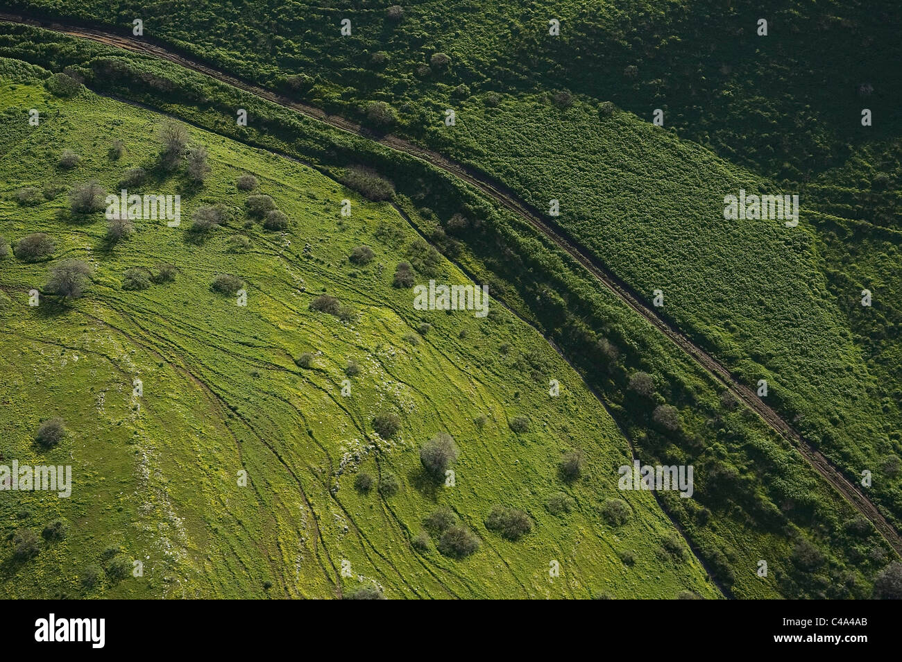 Aerial photograph of a green grove in the Coastal plain Stock Photo - Alamy
