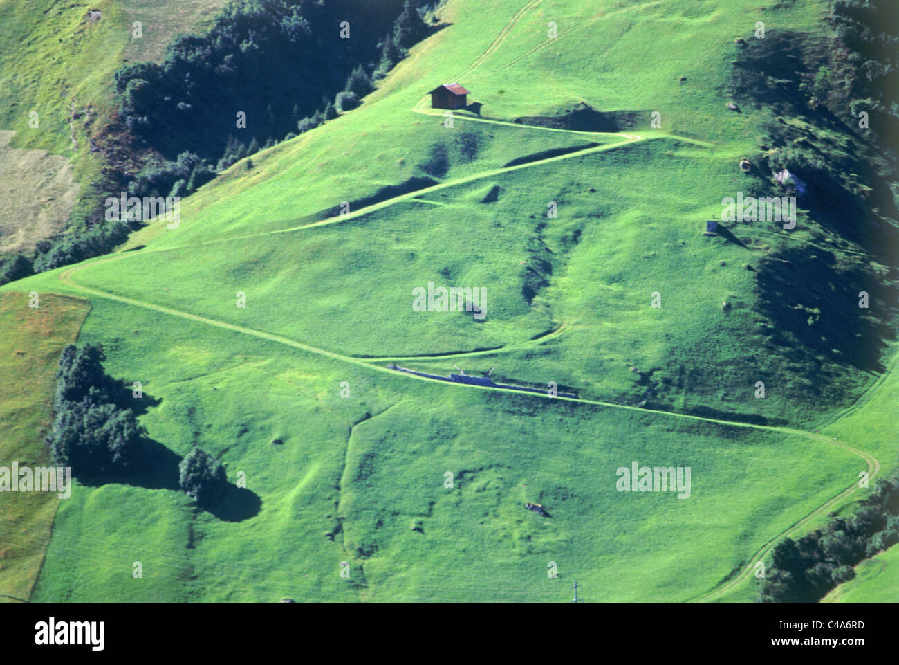 Photograph of the green slopes of Switzerland Stock Photo - Alamy