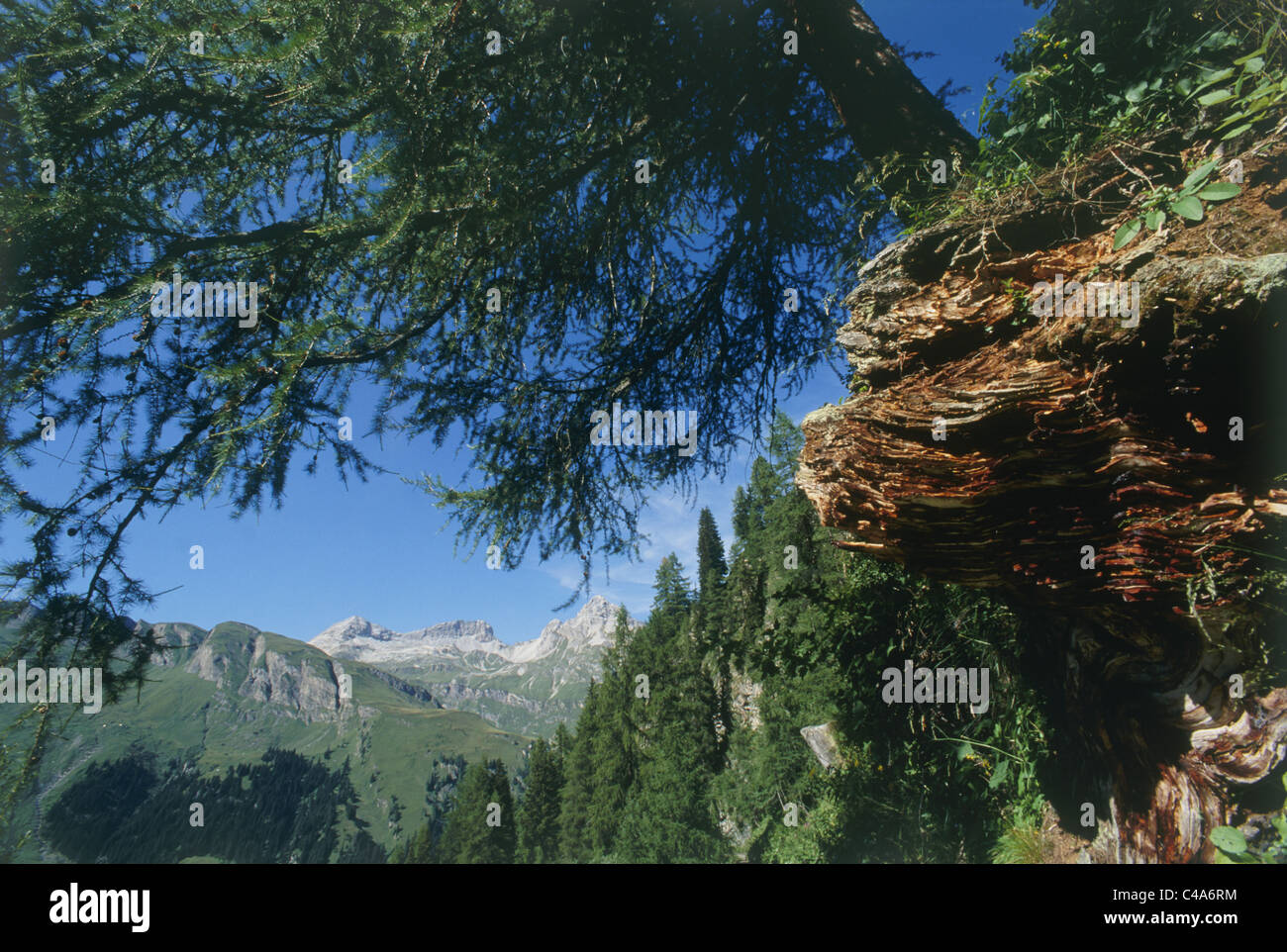 Sonwy mountains hi-res stock photography and images - Alamy