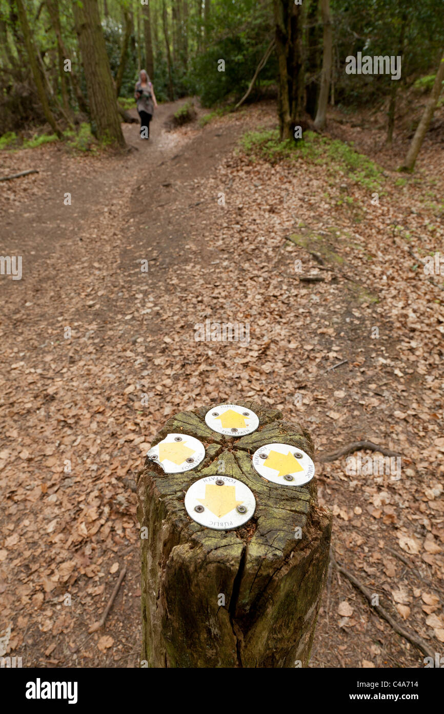 four direction footparh markers on tree stump Stock Photo - Alamy