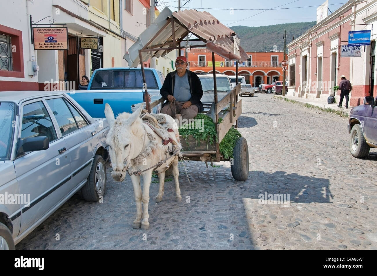 A man in a covered cart pulled by a donkey sells his produce on a ...