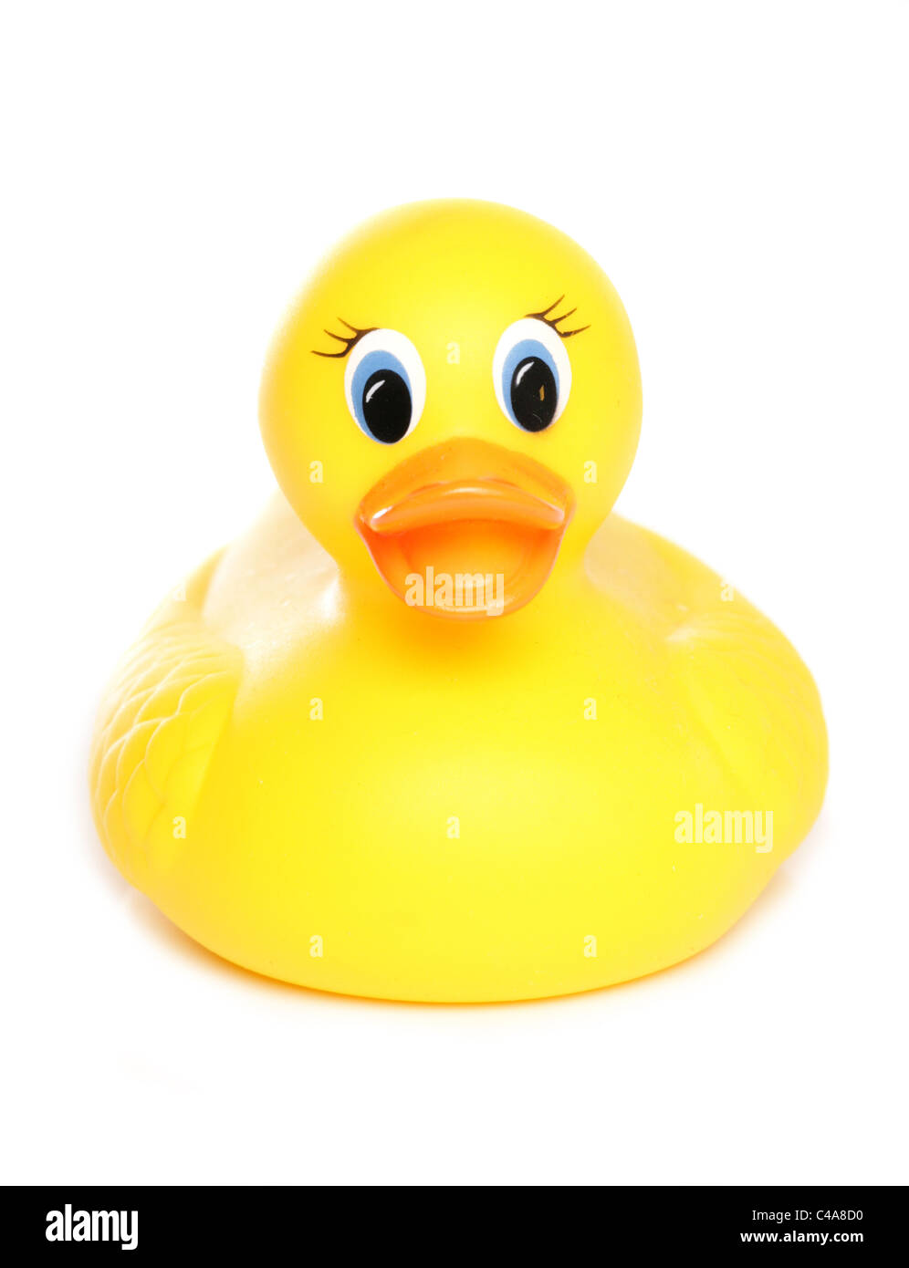 yellow rubber duck studio cutout Stock Photo - Alamy