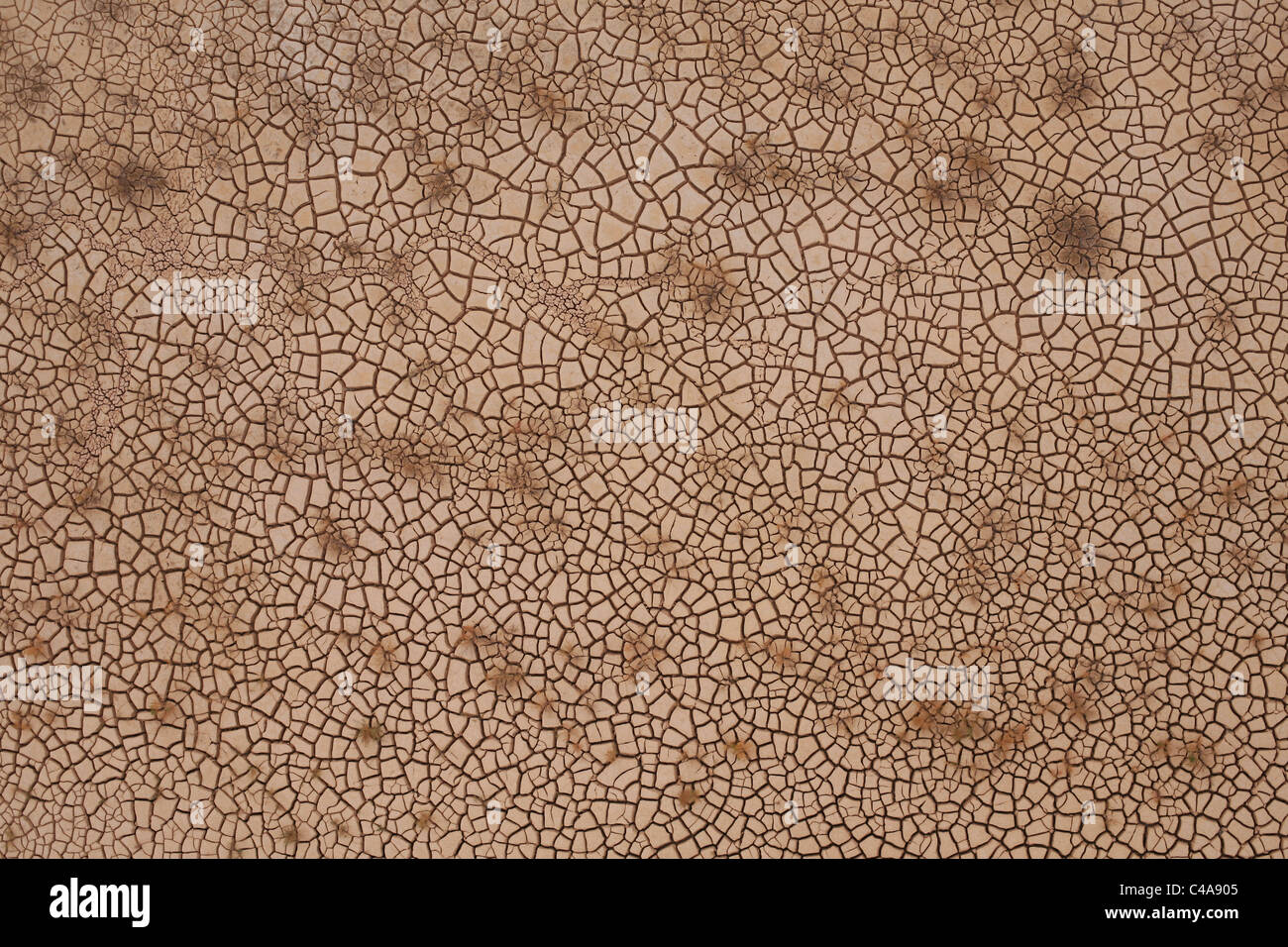 Dry mud pattern hi-res stock photography and images - Alamy