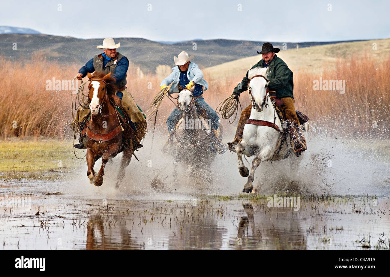 Cowboys And Their Horses Cowboys & Horses