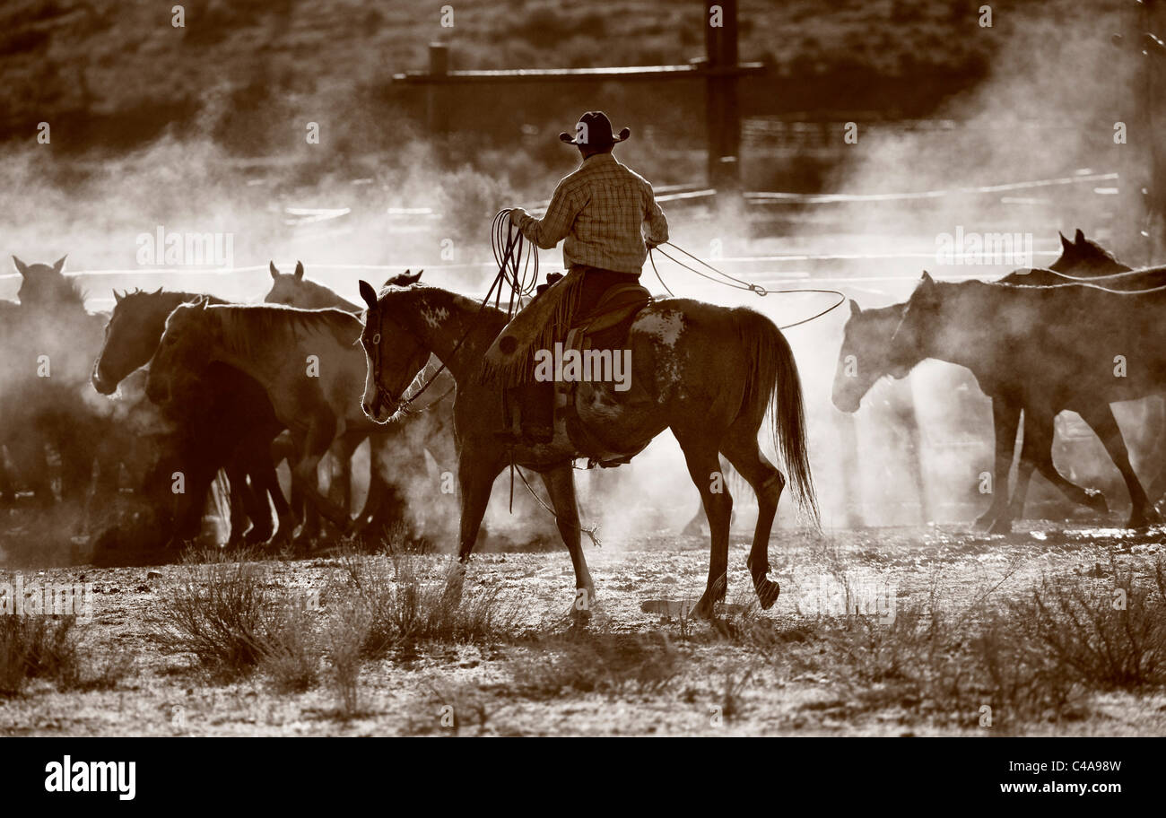 Black And White Cowboy High Resolution Stock Photography and Images - Alamy