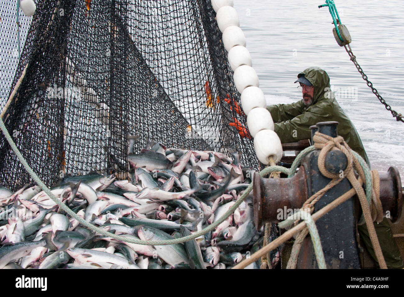 Fishing Boat With Fish