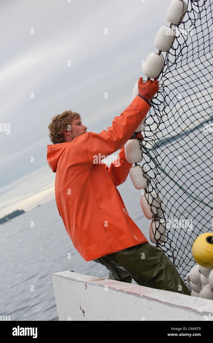 Sea stacks alaska hi-res stock photography and images - Alamy