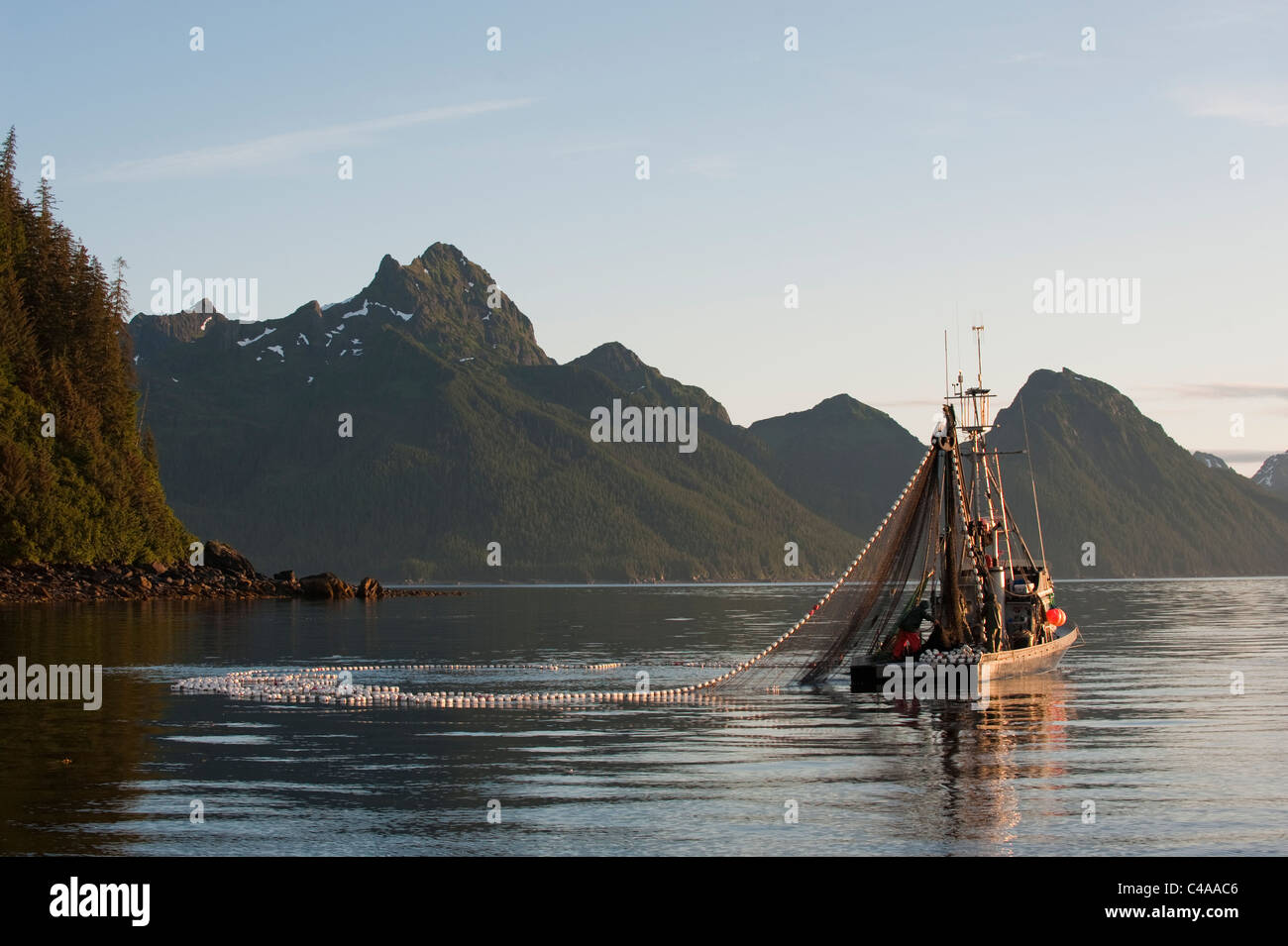 Pws Salmon Seining Alaska