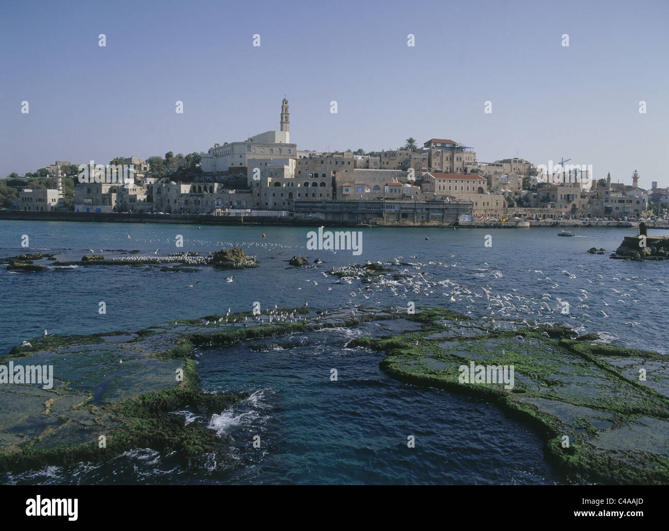 Aerial photograph of the old city of Jaffa Stock Photo - Alamy