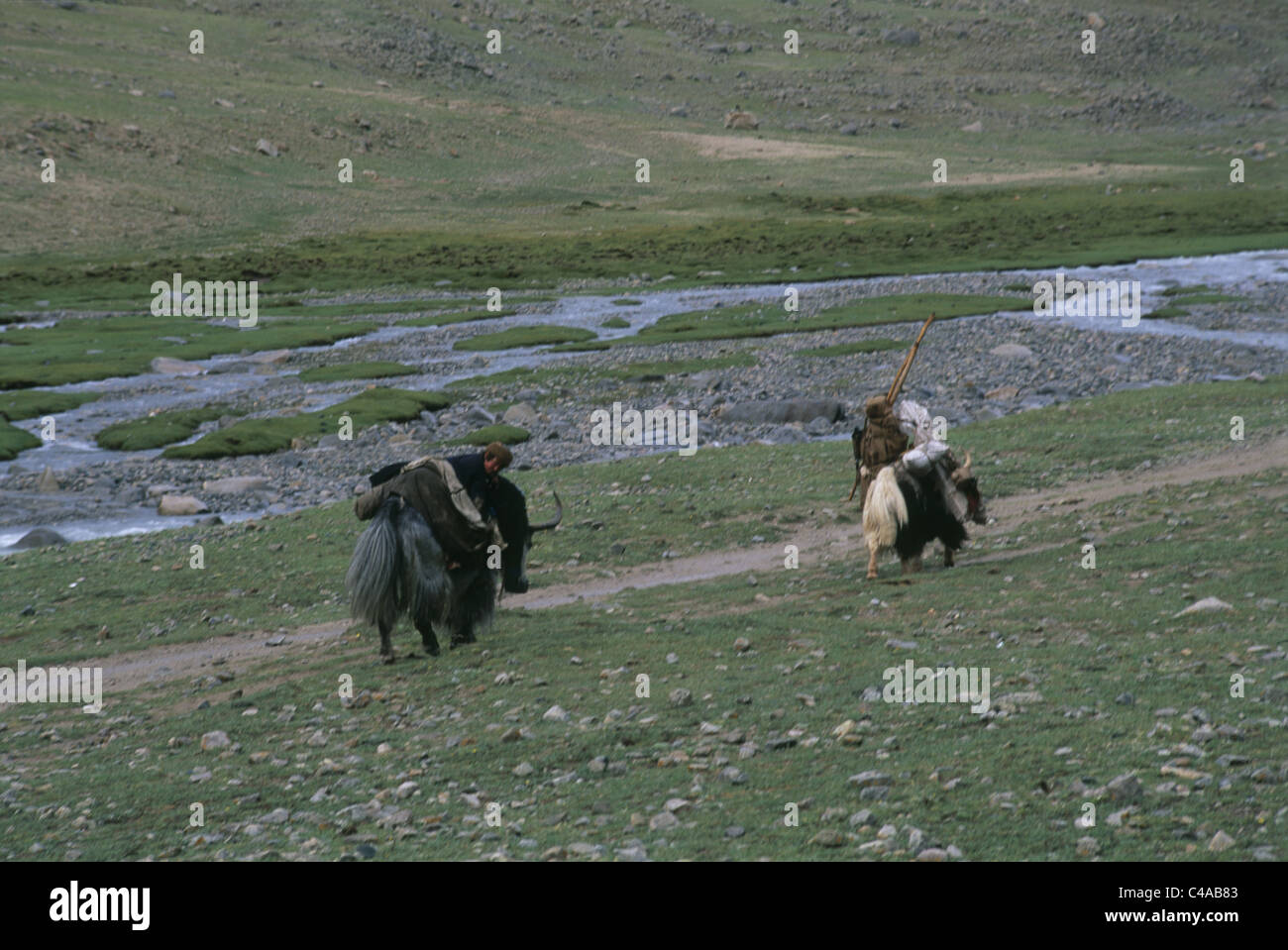 Man riding yak hi-res stock photography and images - Alamy