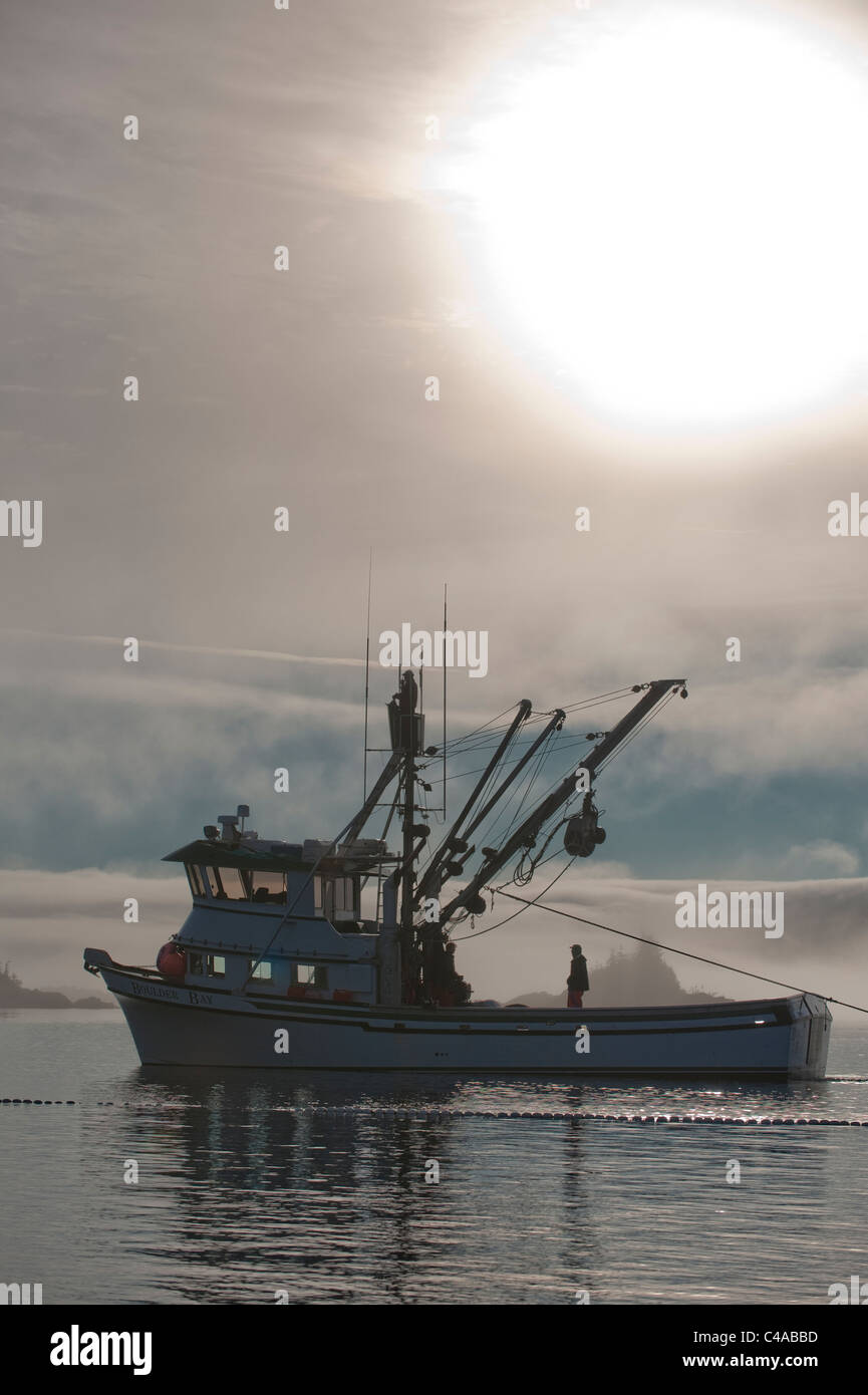 Pws Salmon Seining Alaska