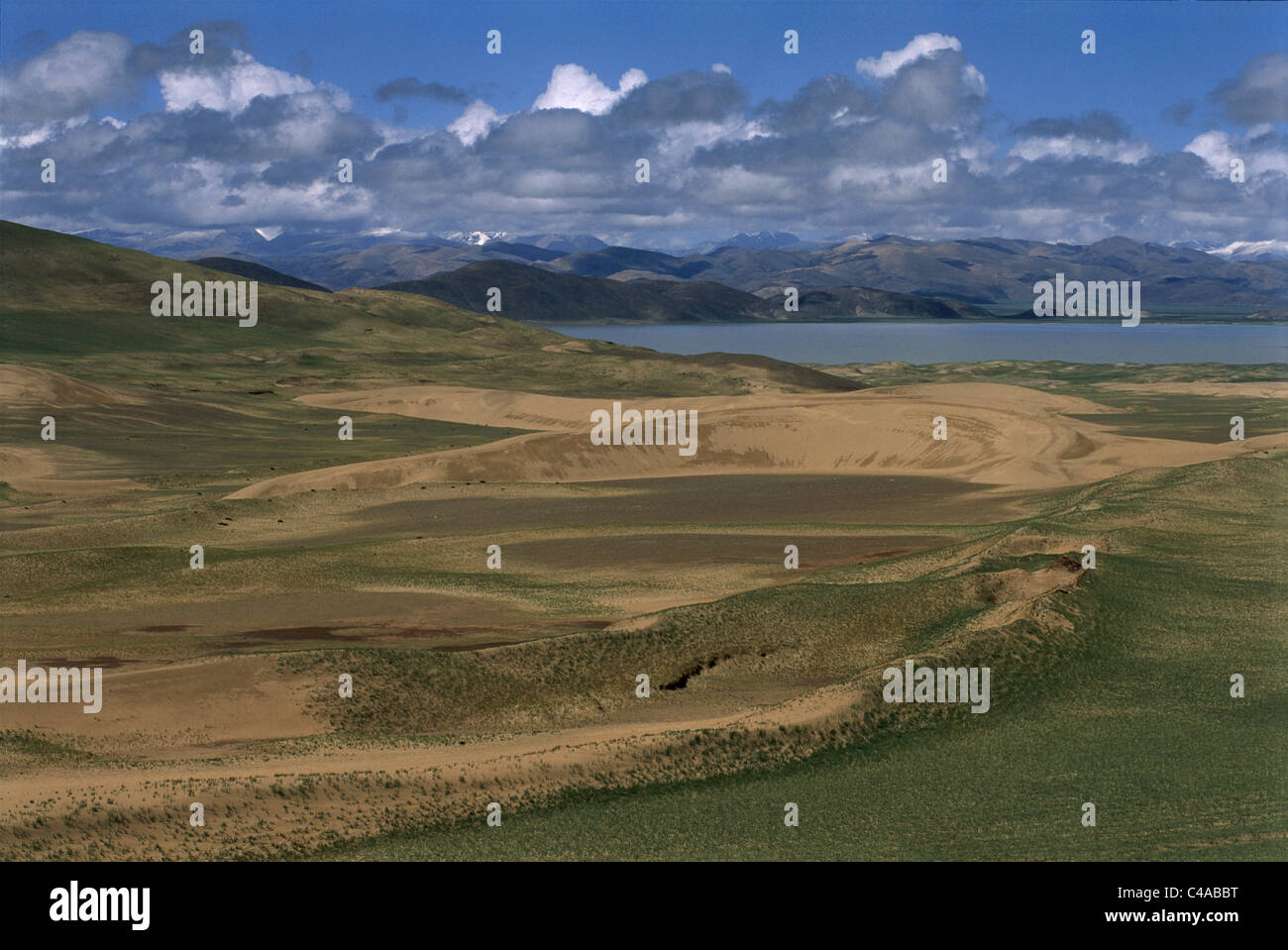 Photograph of the agriculture fields of Tibet Stock Photo - Alamy