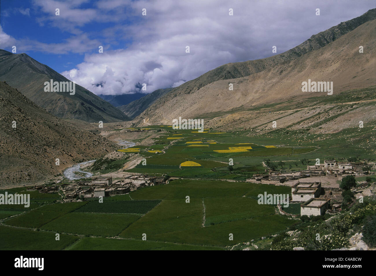 Photograph of a green valley in Tibet Stock Photo - Alamy