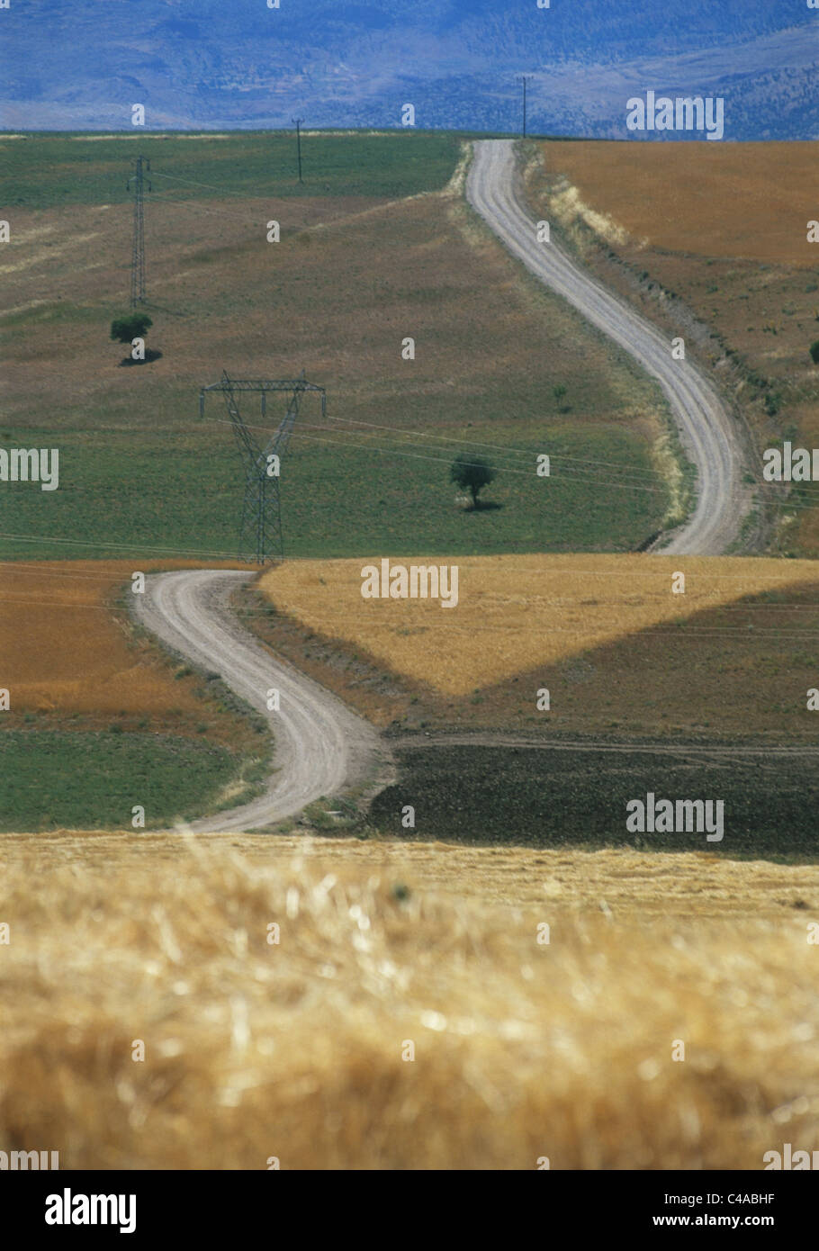 Photograph of fields in Turkey Stock Photo - Alamy