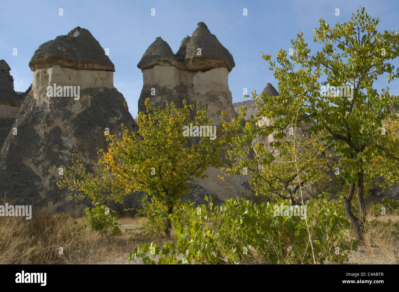Photograph of Kapadokya Turkey Stock Photo - Alamy