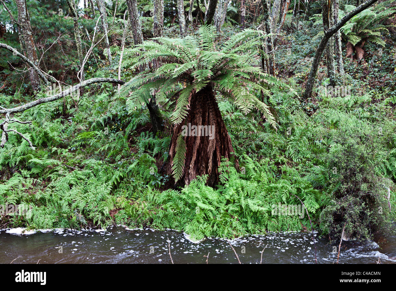 Hot creek hot springs hi-res stock photography and images - Alamy