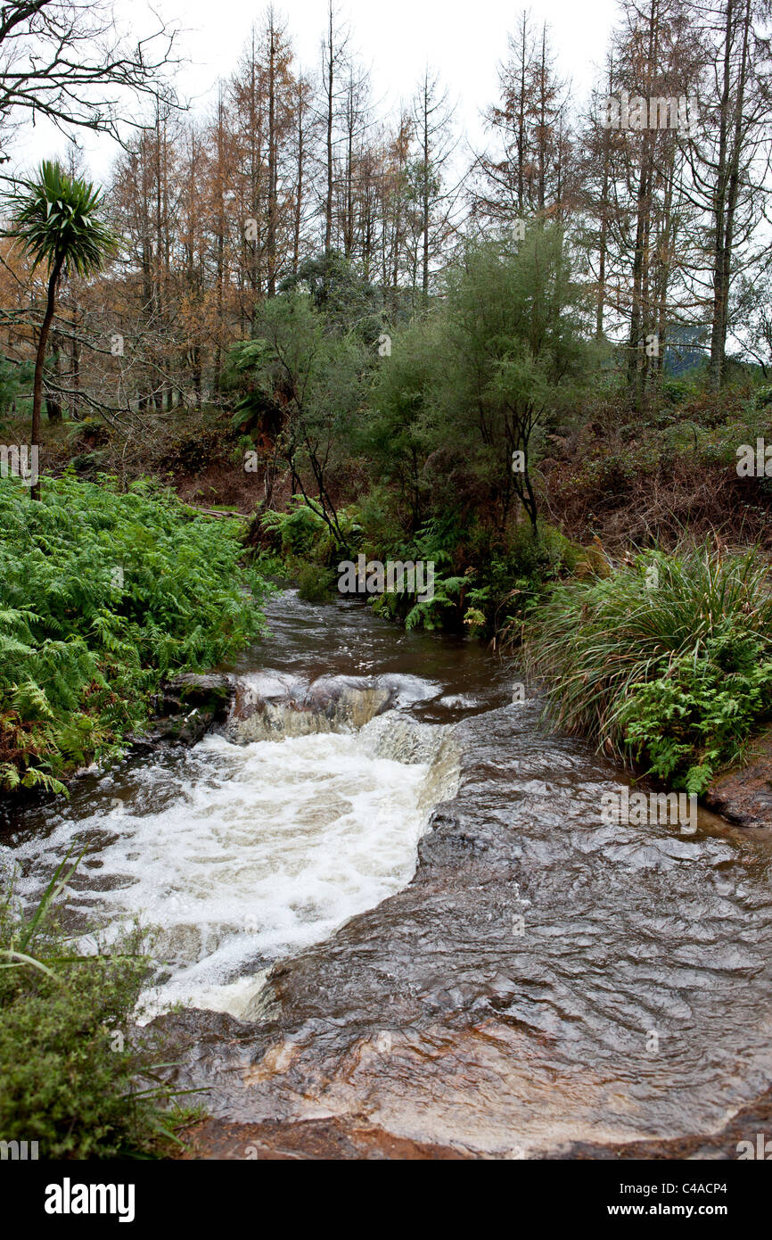 Kerosene creek hot springs in New Zealand north Island Stock Photo - Alamy