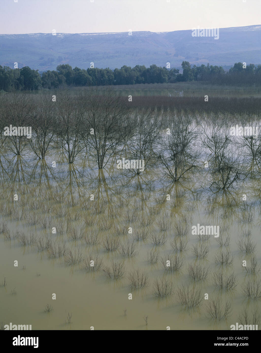 Aerial photograph of the Chula valley in the Upper Galilee Stock Photo ...