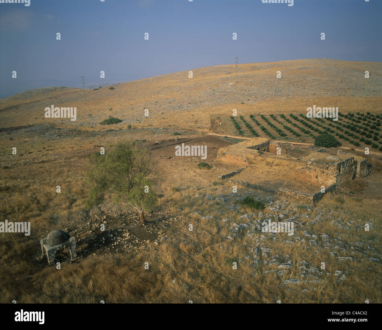 Jubb hi-res stock photography and images - Alamy