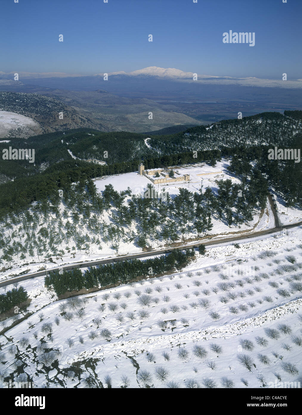 Aerial photograph of the Biriya forest in the Upper Galilee at winter ...