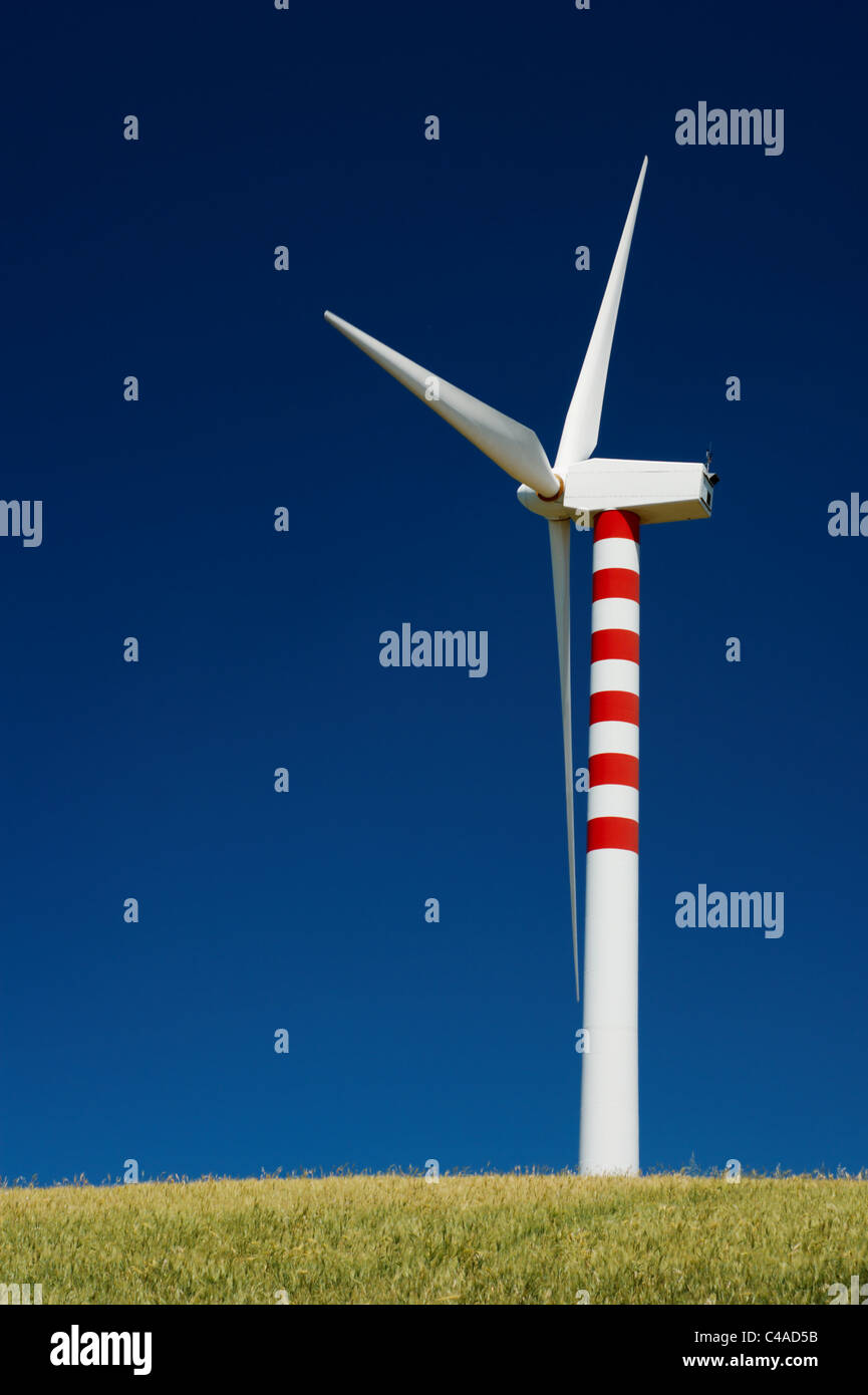 Single wind turbine in golden wheat field Stock Photo - Alamy