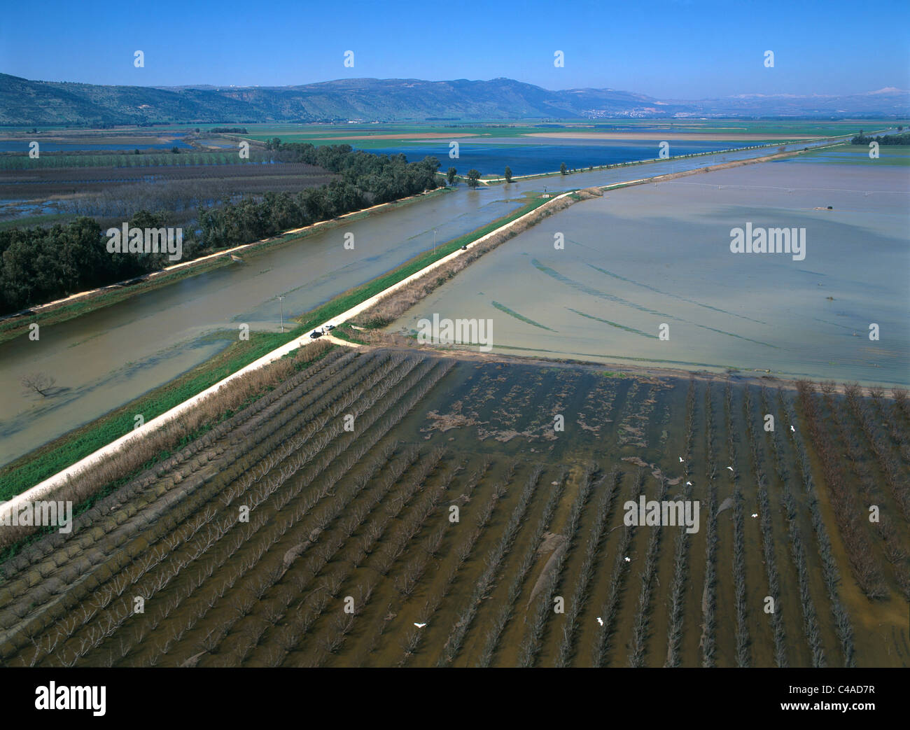Aerial photograph of the agriculture fields of the Chula valley in the ...