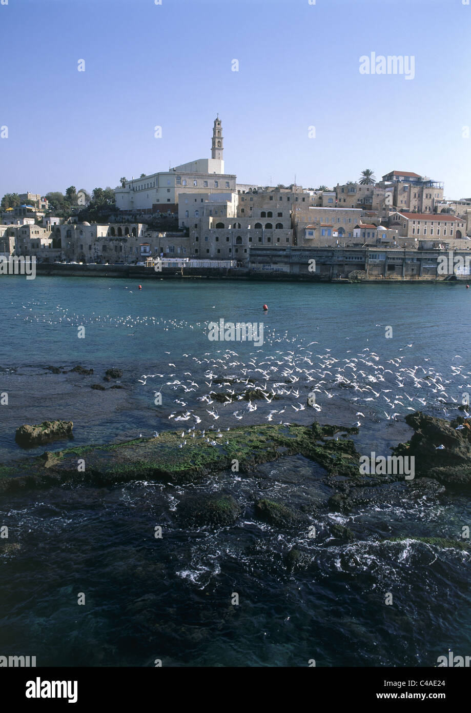 Aerial photograph of the old city of Jaffa Stock Photo - Alamy