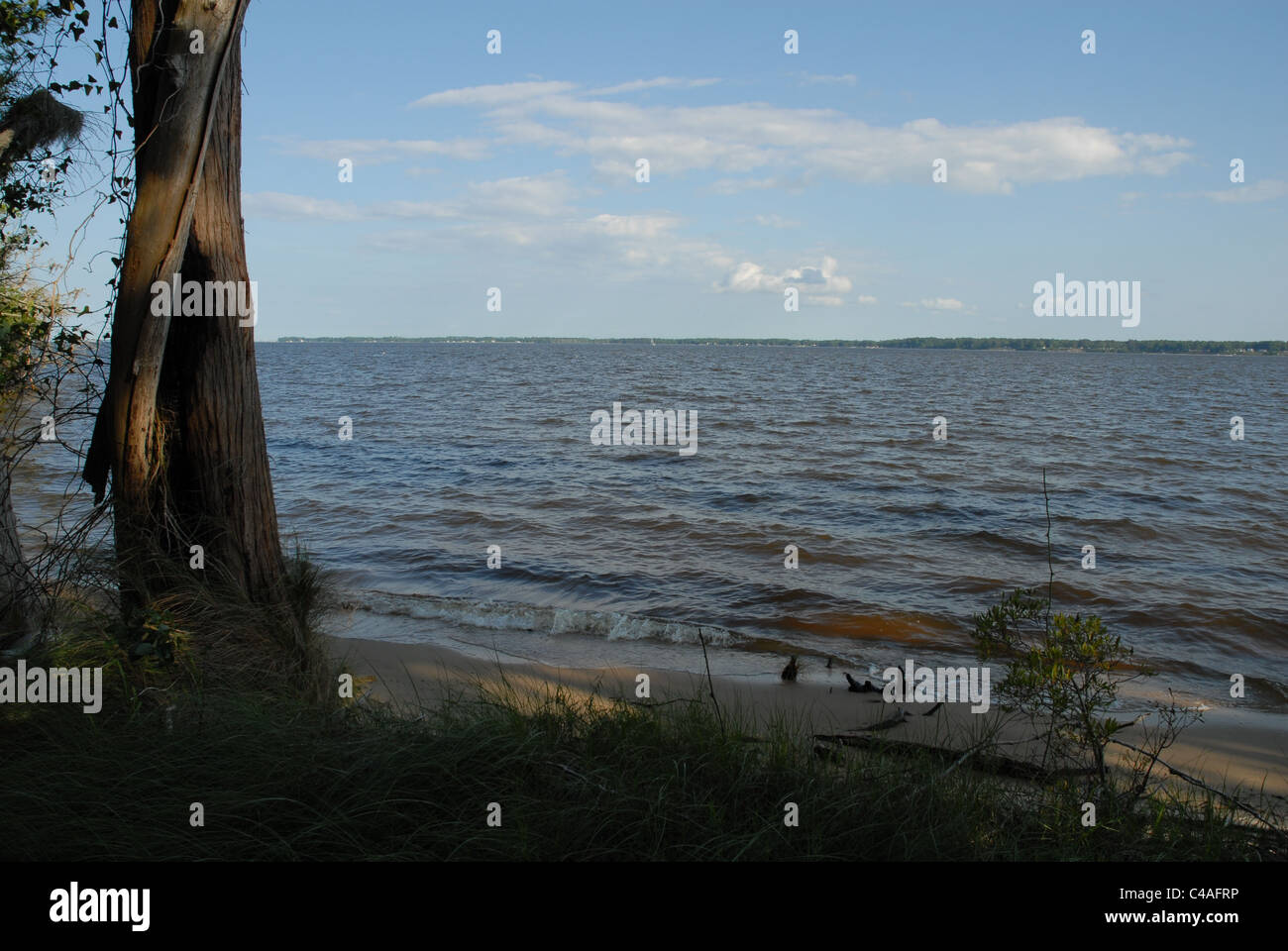 The Beach along the Pamlico River in Goose Creek State Park Stock Photo ...