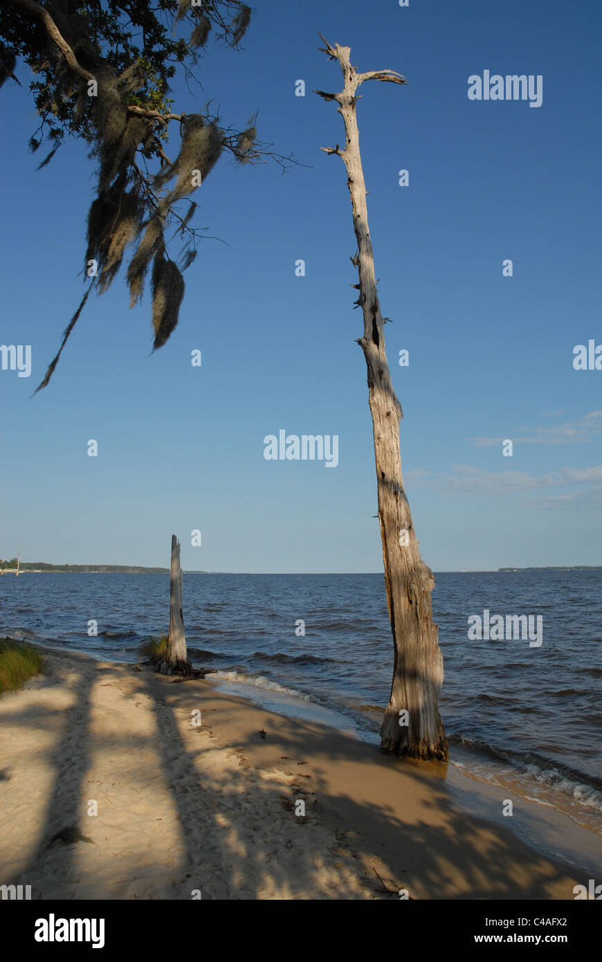 The Beach along the Pamlico River in Goose Creek State Park Stock Photo ...