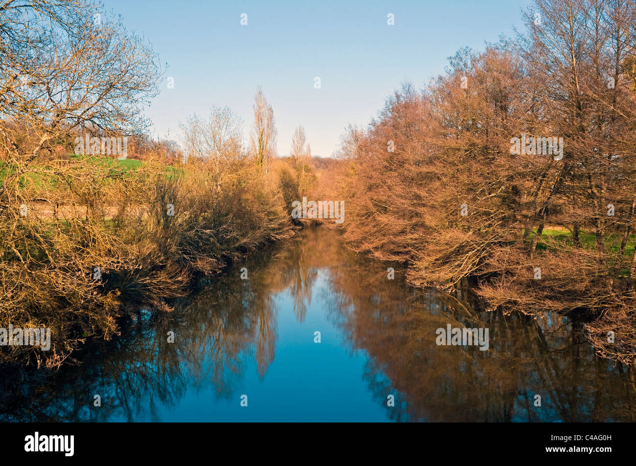 River Claise with trees overhanging banks - France Stock Photo - Alamy