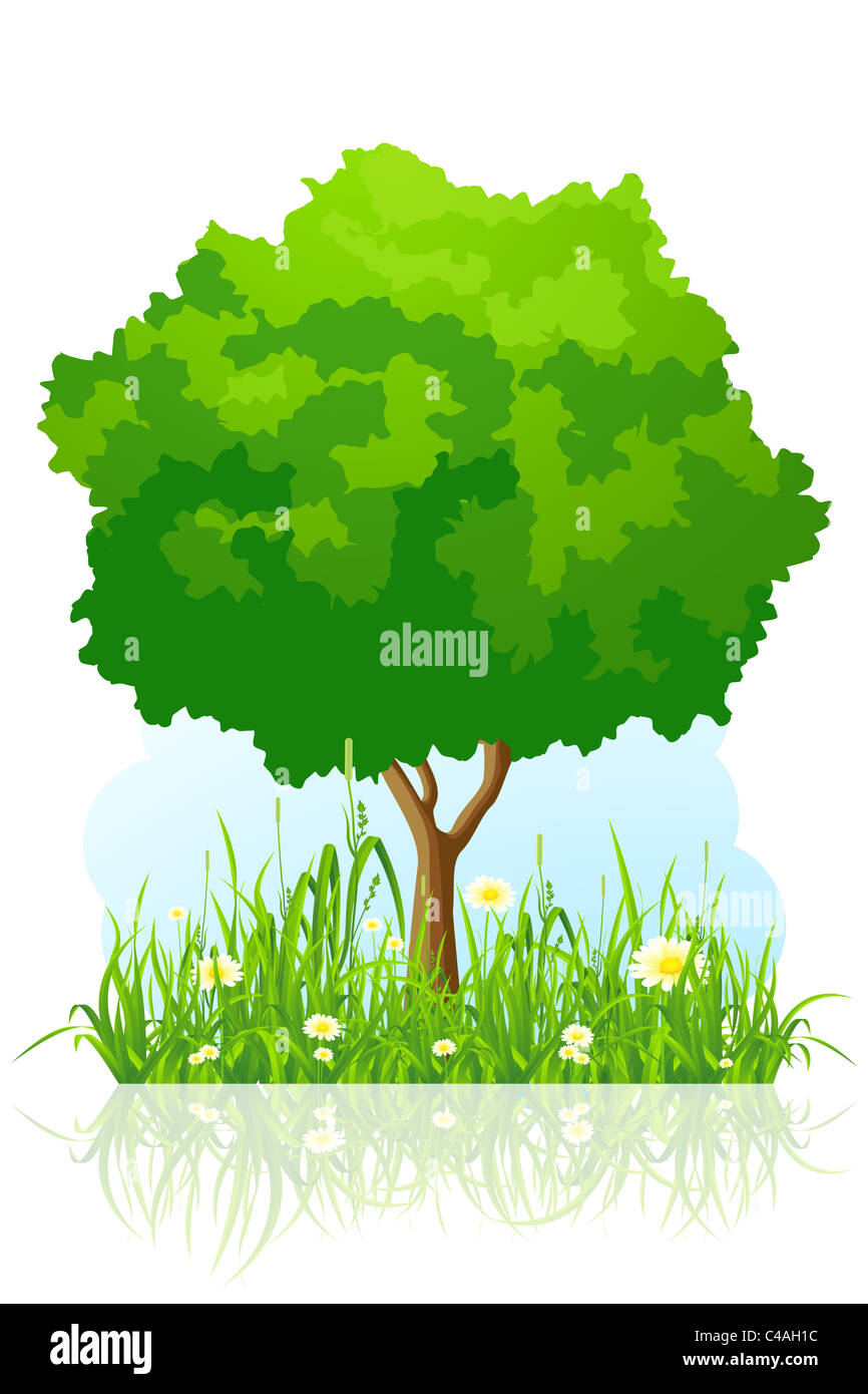 Isolated green tree background with flowers and grass Stock Photo - Alamy