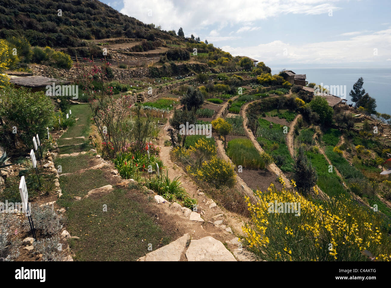 Hillside Terrace Garden