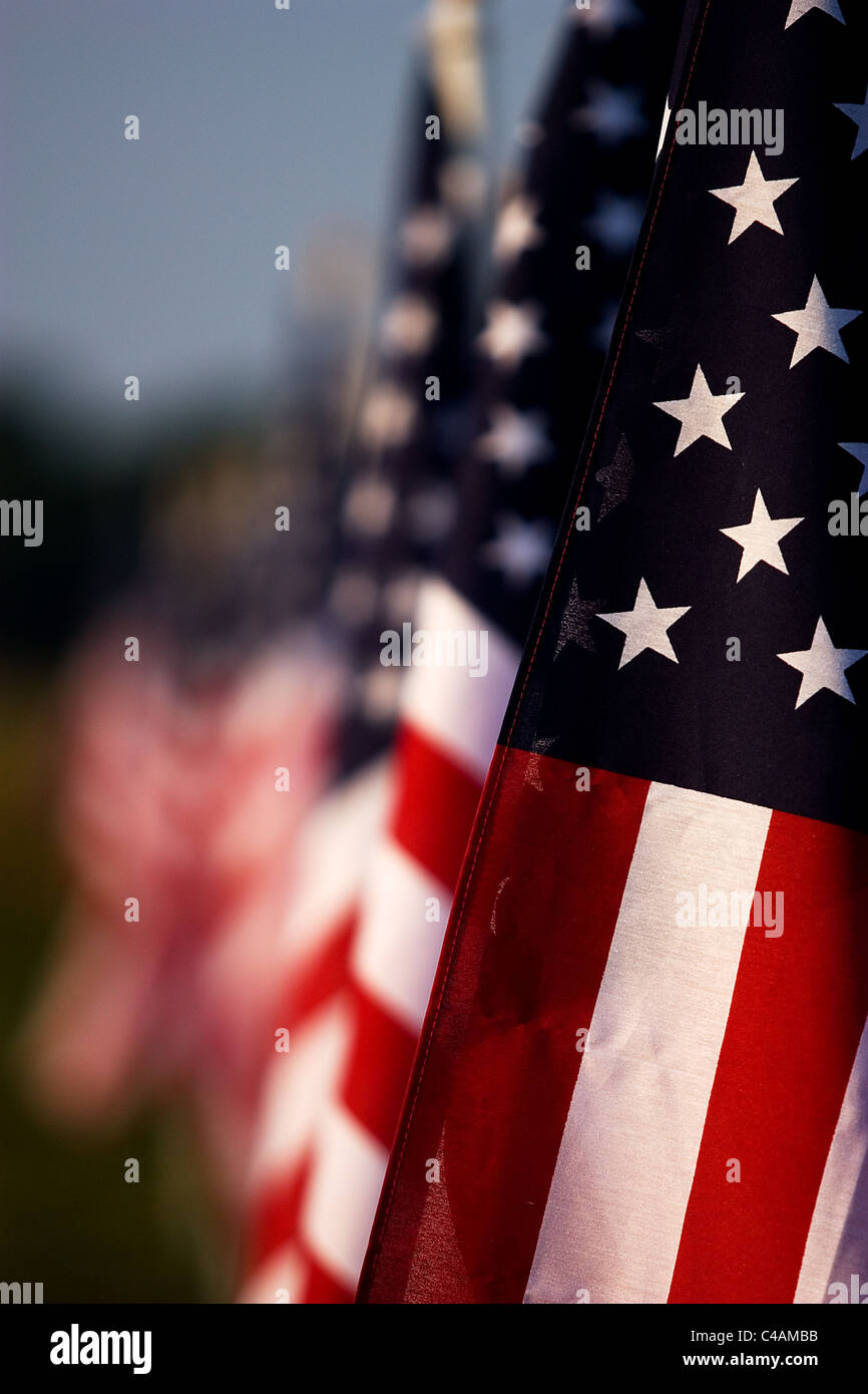 Multiple American Flags lined up for a Memorial Day event Stock Photo ...