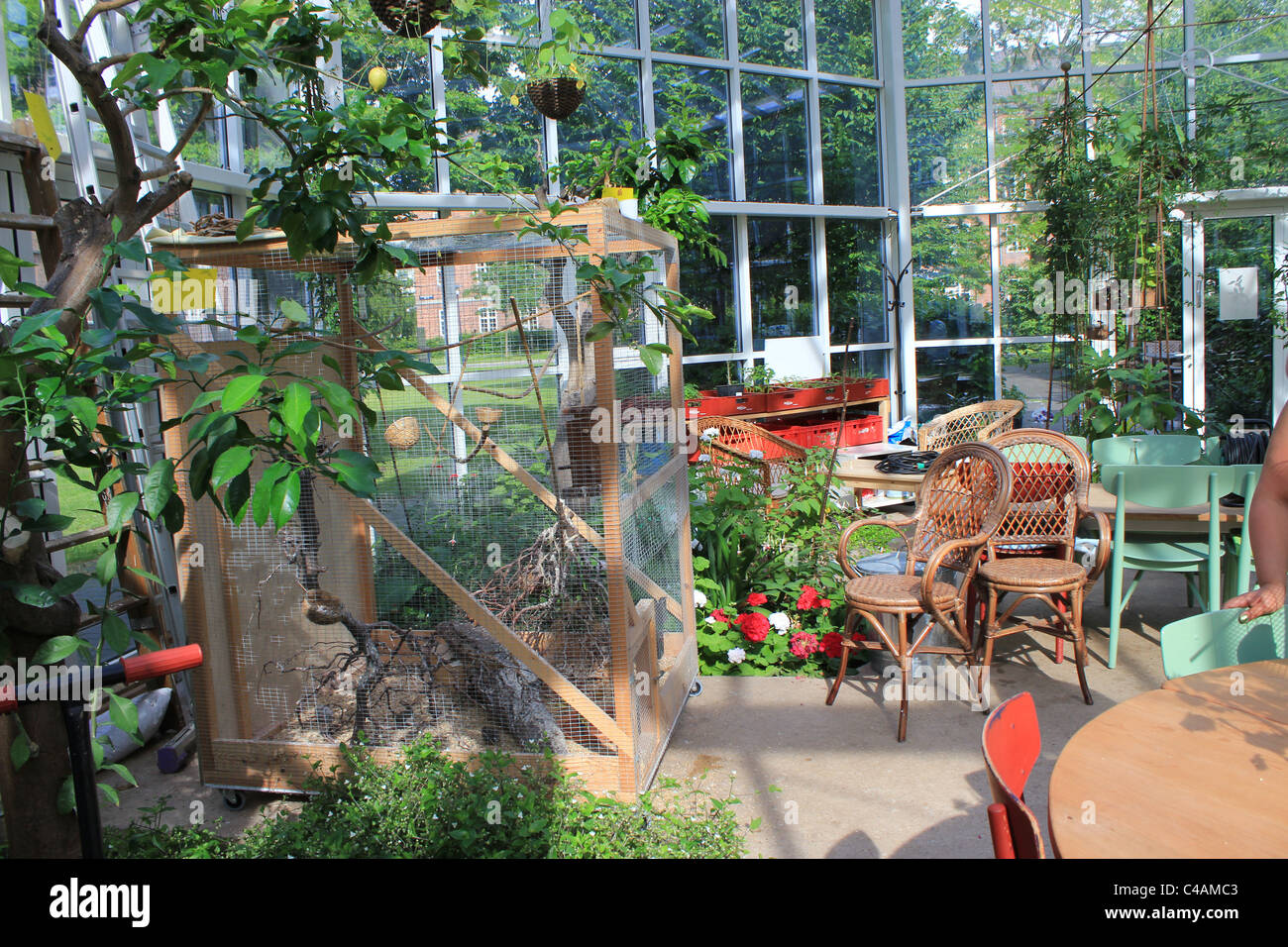 Interior of a cozy conservatory which has a bird cage, plants and ...