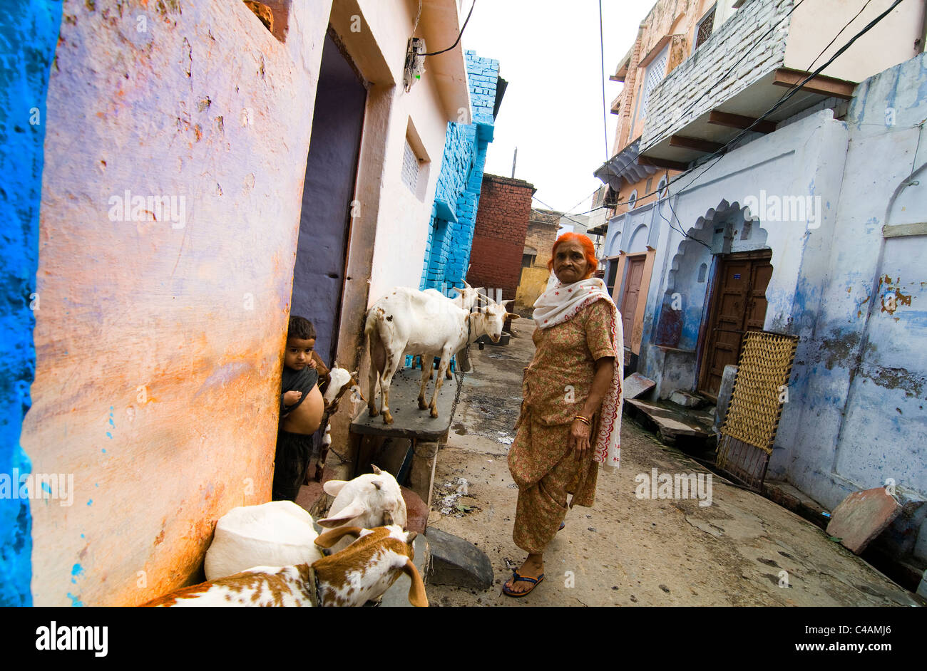 Colorful street scenes in the old city of Agra, India Stock Photo - Alamy