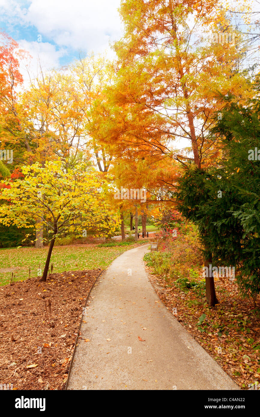 Fall in the park Stock Photo - Alamy