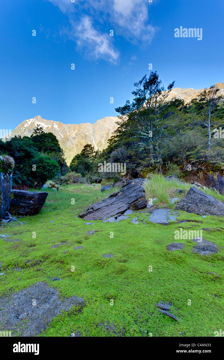 In the Southern Alps of New Zealand Stock Photo - Alamy