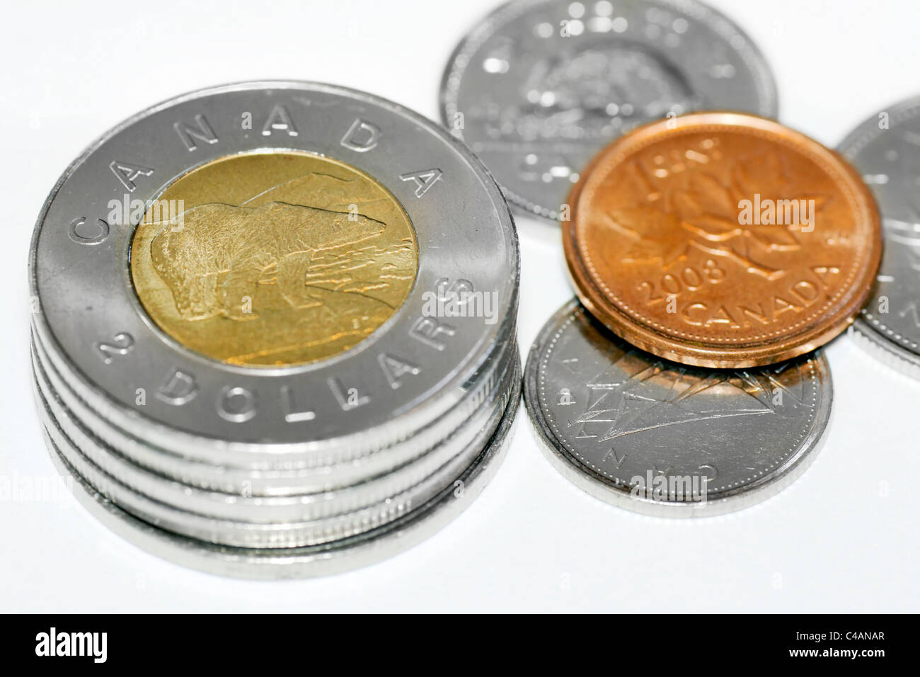 Stack of two dollar canadian coins with focus on the polar bear with ...