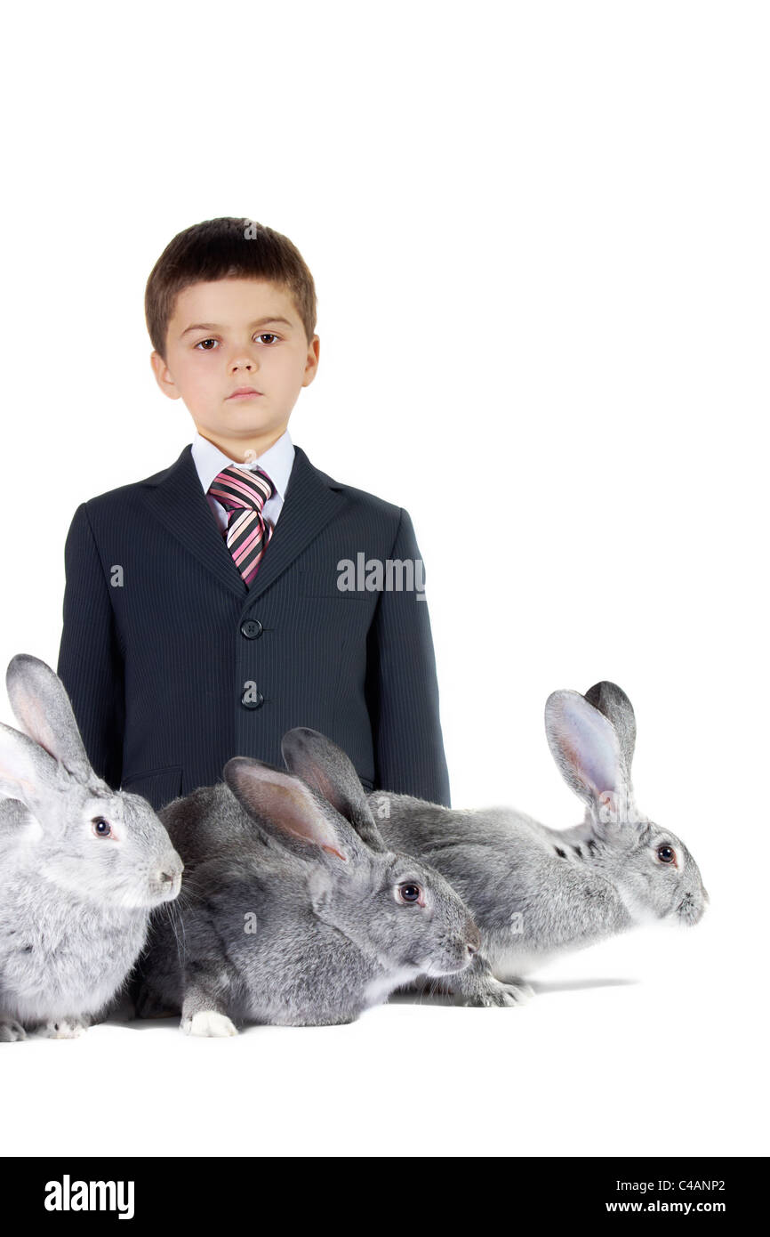 Image of boy in suit with grey rabbits near by Stock Photo - Alamy